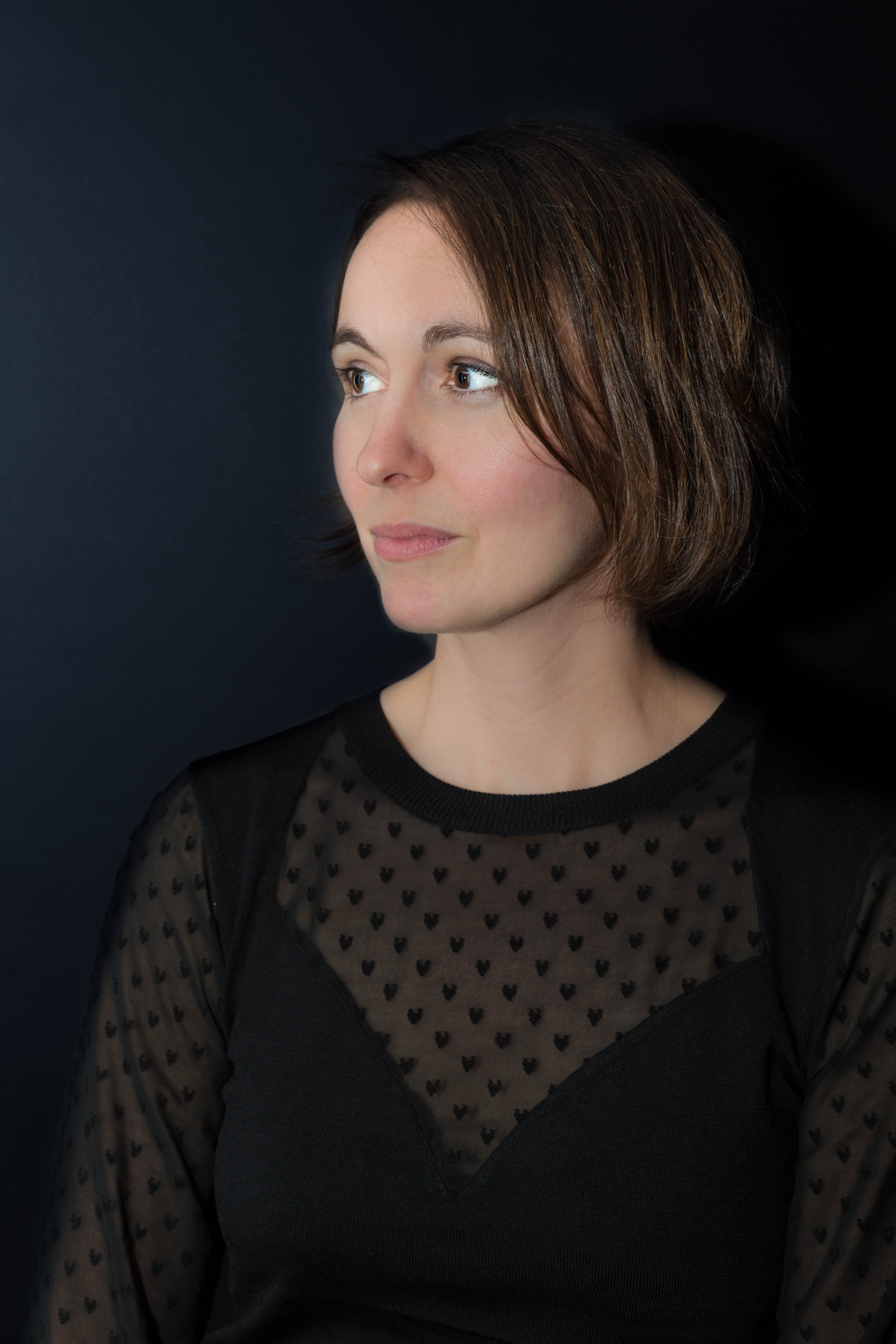 Spotlight On: THE PARTY WALL by CATHERINE LEROUX - Biblioasis